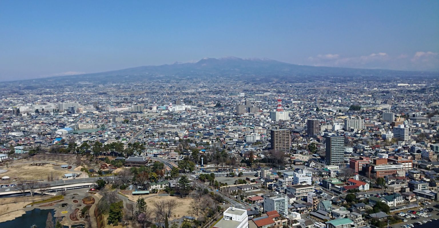 2020年の前橋市「ハンバーガー」消費日本一は何だったのか 家計調査でみる支出額ランキングの振れ幅 - あずまある